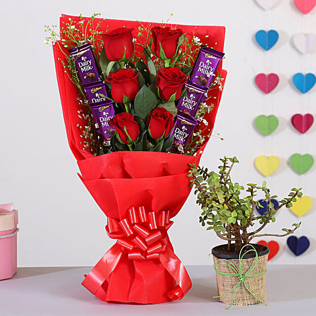 Buy/Send Red Roses Bouquet With Jade Plant & Chocolates Online- FNP