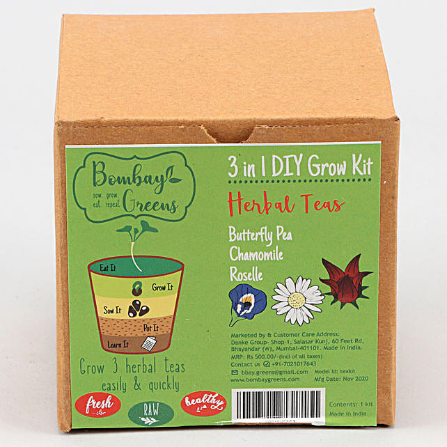 Buy/Send Bombay Greens DIY Herbal Tea Grow Kit Online- FNP