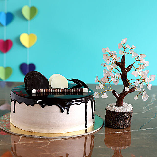 Buy/Send Drooly Chocolate Cake & Wish Tree Online- FNP