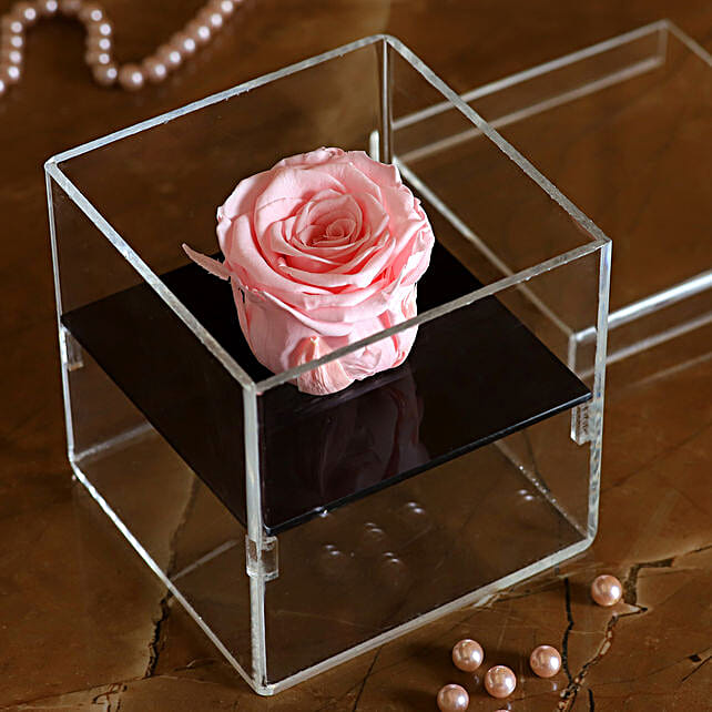 Buy/Send Lovely Pink Forever Rose Online- FNP