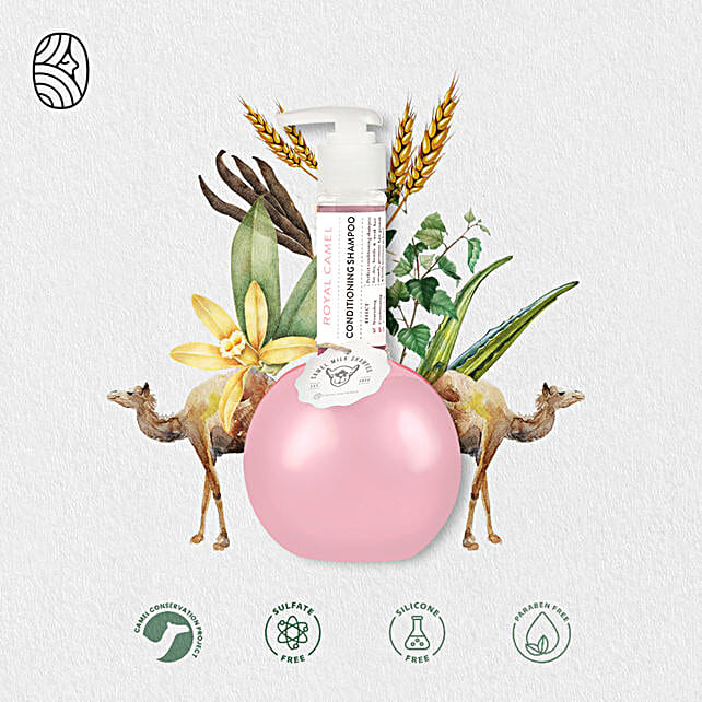 Buy/Send Royal Camel Shampoo Online- FNP