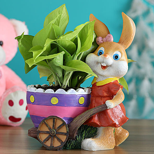 Buy/Send Golden Money Plant In Red Rabbit Cart Ceramic Pot Online- FNP