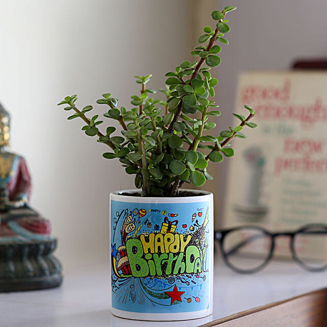 Buy/Send Jade Plant In Happy Birthday Ceramic Planter Online- FNP