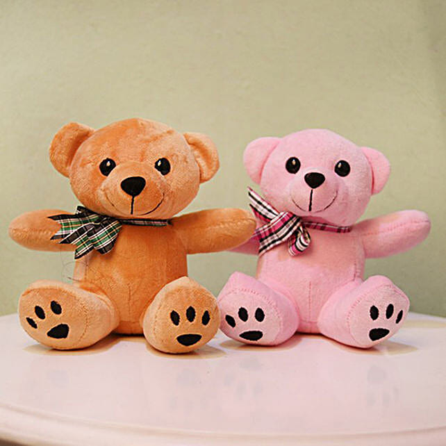 Buy/Send Cute & Cuddly Brown & Pink Poppy Teddy Bear Combo Online- FNP