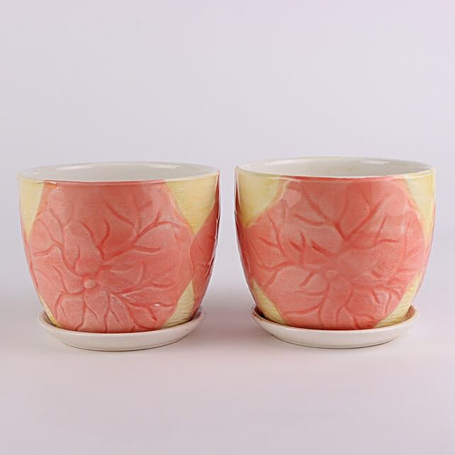 Buy/Send set of 2 pink ceramic flower pot mp21 Online- FNP