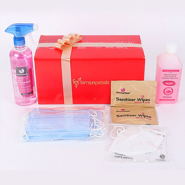 Buy/Send Family Protection Kit Online- FNP