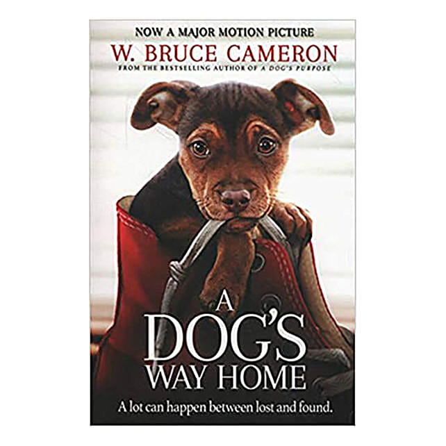Buy/Send A Dogs Way Home Online- FNP