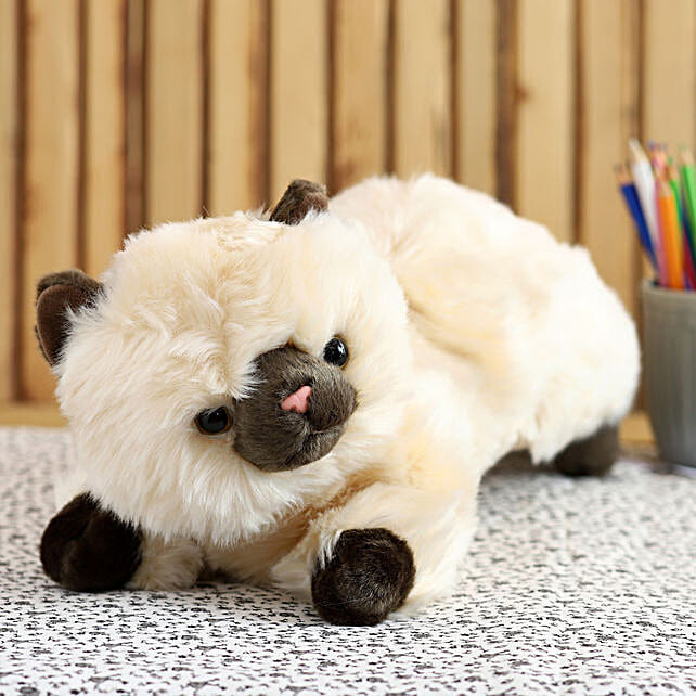 Buy/Send Wild Republic Light Brown Sitting Cat Soft Toy Online- FNP