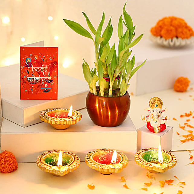 Buy/Send Diwali Celebrations Bamboo Plant Combo Online- FNP