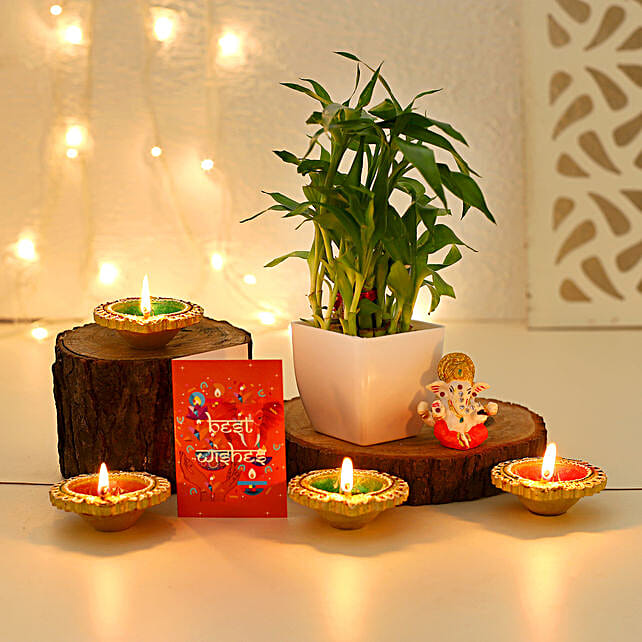 Buy/Send Diwali Greetings Bamboo Plant Combo Online- FNP