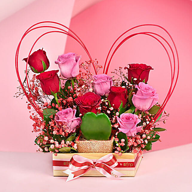 Buy/Send Dual-Tone Rose & Hoya Gift Tray Online- FNP