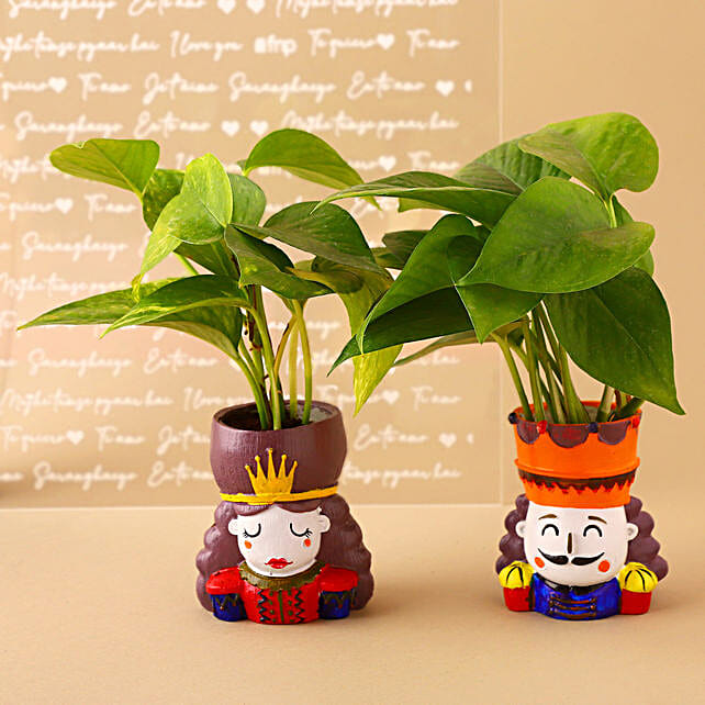 Buy/Send Royal Love Money Plant Online- FNP