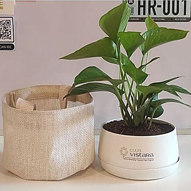 Buy/Send Corp hamper 01 Razorpay Online- FNP