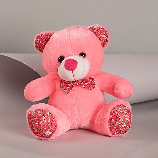 Buy/Send Adorable Pink Teddy Soft Toy Online- FNP
