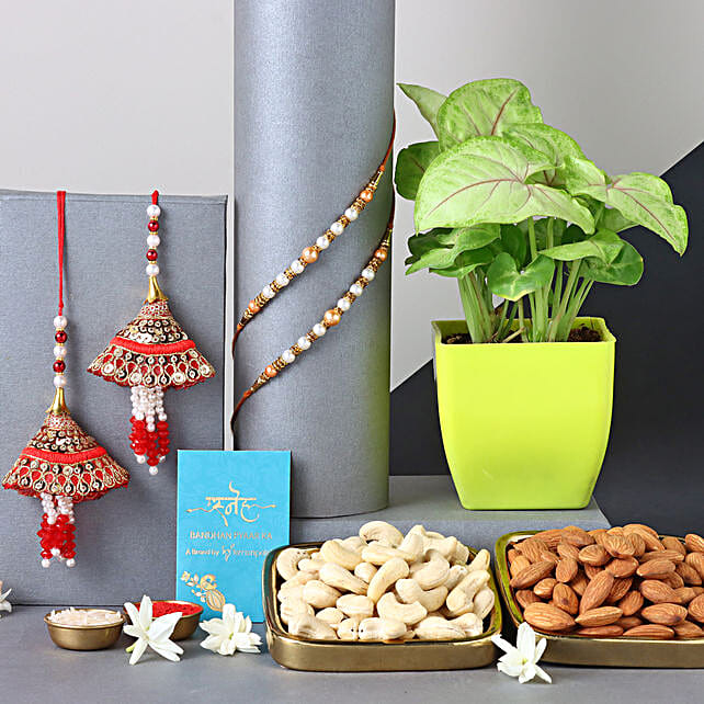 Buy/Send Sneh Bhaiya Bhabhi Rakhi Set & Green Gift Combo Online- FNP