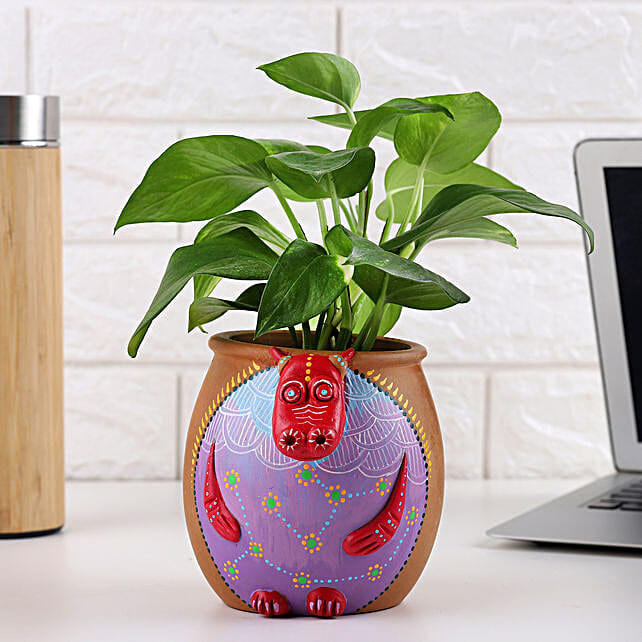 Buy/Send Money Plant in a Purple-Red Pot Online- FNP