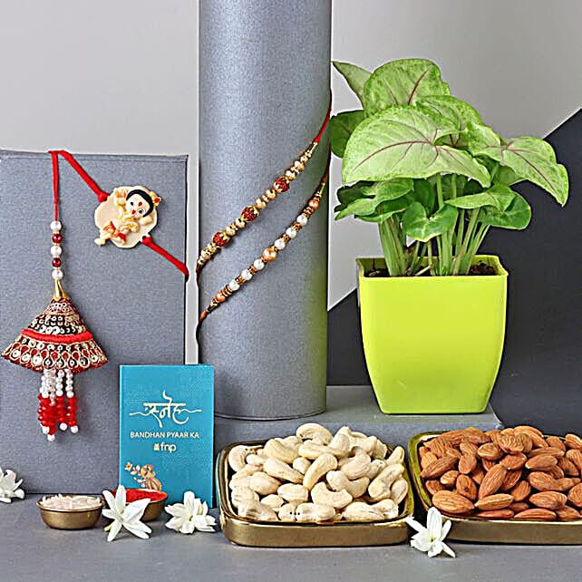 Buy/Send Sneh Sweet Family Rakhi Set and Green Gift Combo Online- FNP Buy/Send Sneh Sweet Family Rakhi Set and Green Gift Combo Online- FNP