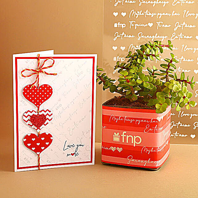 Buy/Send Jade Plant N Greeting Card Combo Online- FNP