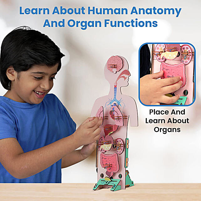 Buy/Send Smartivity Human Body Germ Buster DIY Kit Online- FNP