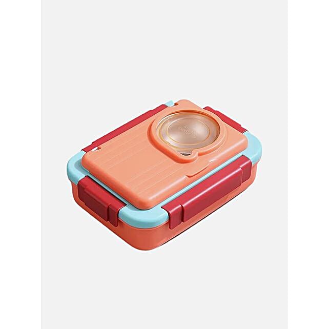 Buy/Send Vibrant Double Decker Lunch Box Online- FNP