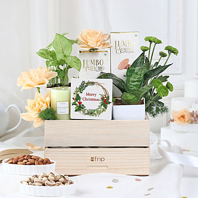 Buy/Send Enchanted Christmas Gift Set Online- FNP