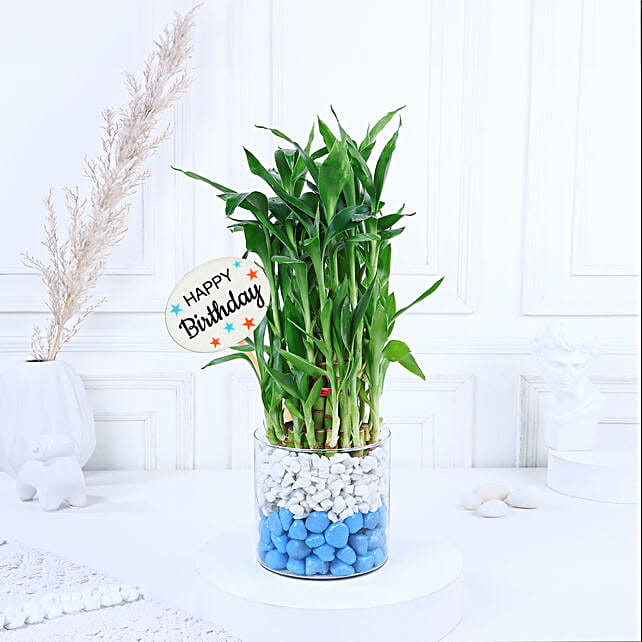 Buy/Send Birthday Bamboo Bliss Duo Online- FNP