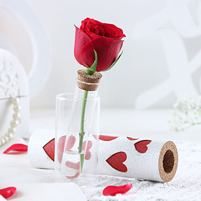 Buy/Send Serene single Red Rose in Magnetic Cork Online- FNP