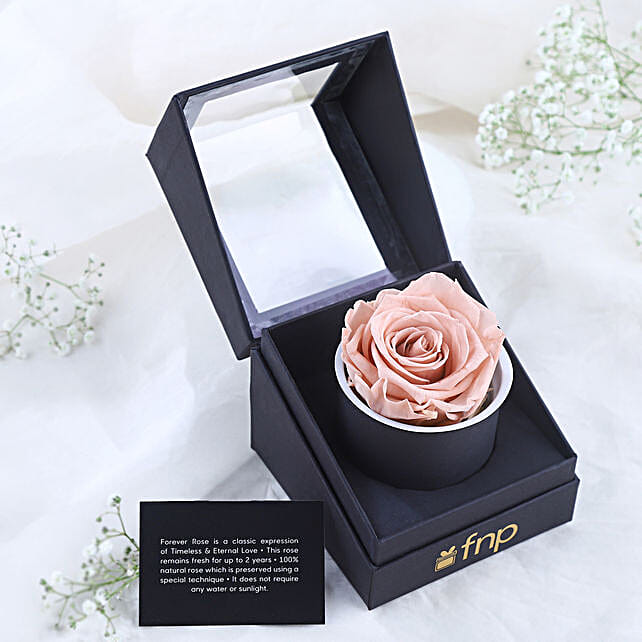 Buy/Send Forever Pink Color Rose Online- FNP