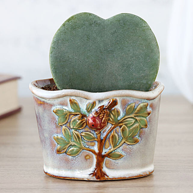 Buy/Send Hoya Plant In Forest Engraved Pot Online- FNP