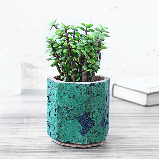 Buy/Send Prosperity Jade Pot Online- FNP