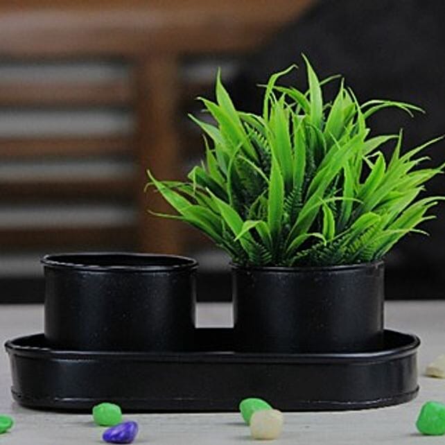 Buy/Send Minimal Design Standing Planter Pot Set Online- FNP
