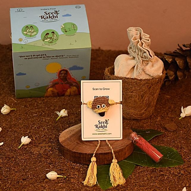 Buy/Send Grow with Me Monkey Rakhi Kit Online- FNP