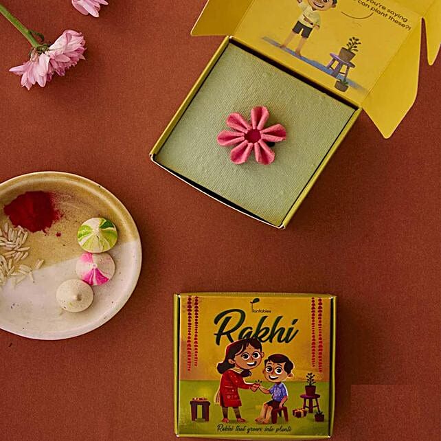 Buy/Send Daisy Delight Plantable Rakhi Set Online- FNP