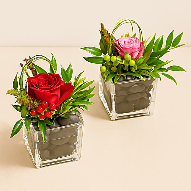 2 Flower Arrangements Set qatar | Gift 2 Flower Arrangements Set- FNP