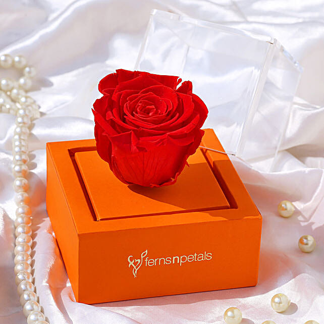 Red Forever Rose In Orange Box singapore | Gift Red Forever Rose In ...