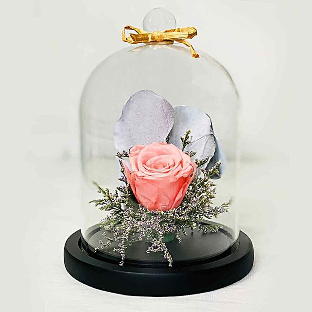 Forever Rose In Glass Dome Pink singapore | Gift Forever Rose In Glass ...