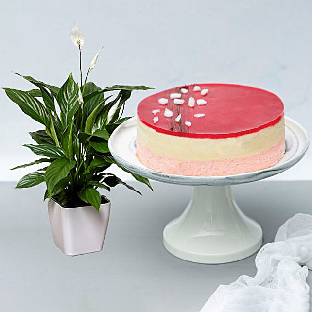 Raspberry Lychee Rose Cake With Lily Plant singapore | Gift Raspberry ...