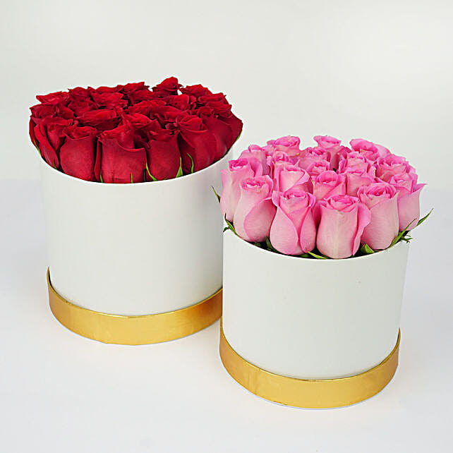 Red And Pink Roses Allure In Round Boxes singapore | Gift Red And Pink ...