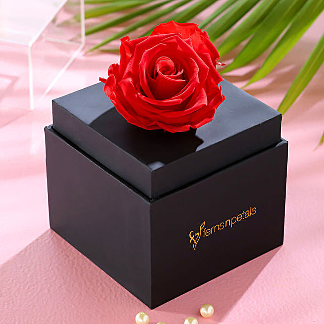 Forever Red Rose in Desingner Box singapore | Gift Forever Red Rose in ...