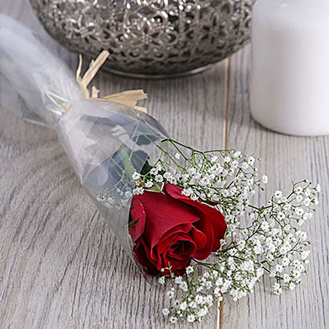 Solo Red Rose south-africa | Gift Solo Red Rose- FNP