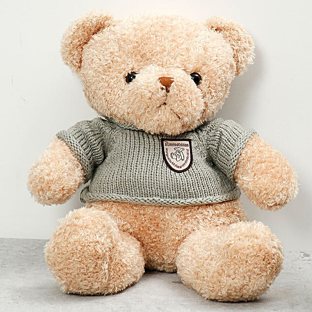 Adorable Brown Teddy Bear uae | Gift Adorable Brown Teddy Bear- FNP