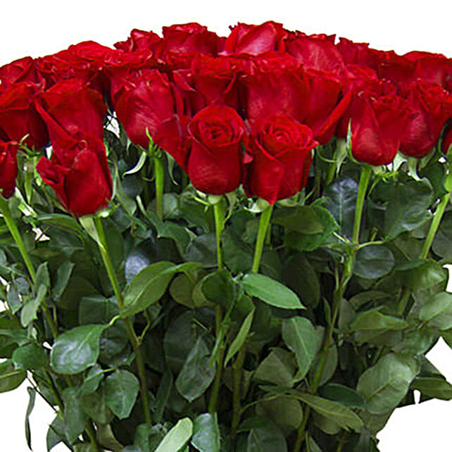 Beautiful Long Stemmed Roses uae | Gift Beautiful Long Stemmed Roses ...