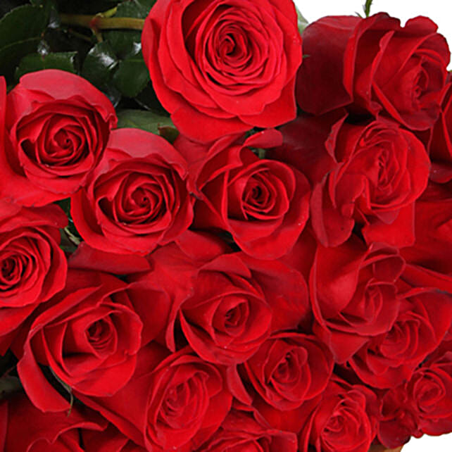 Beautiful Long Stemmed Roses uae | Gift Beautiful Long Stemmed Roses ...