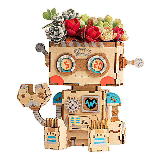 Pot Robot For Kids uae | Gift Pot Robot For Kids- FNP