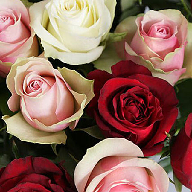 Mixed Roses uk | Gift Mixed Roses- FNP