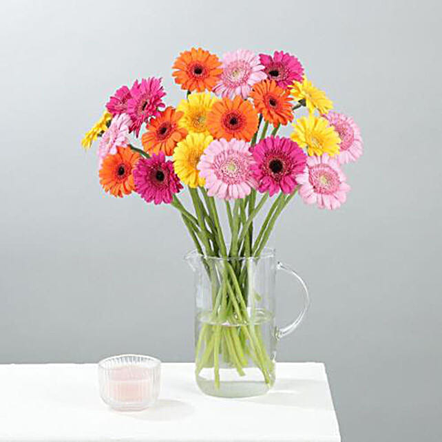 Mixed Germini Bouquet uk | Gift Mixed Germini Bouquet- FNP