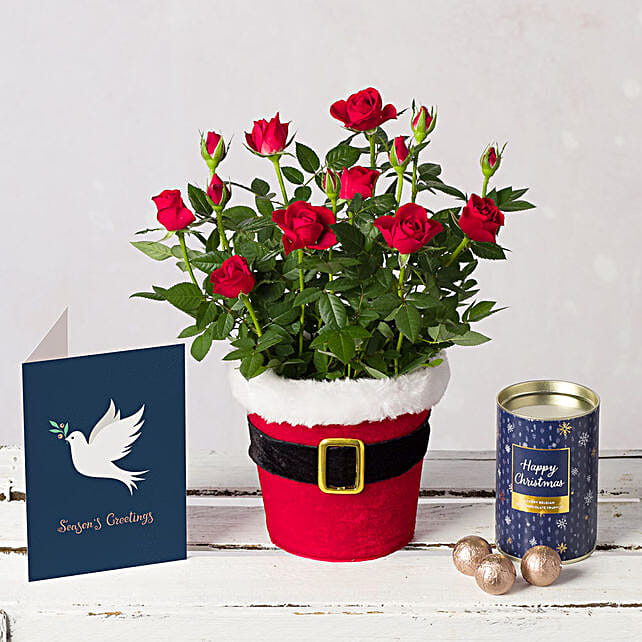 Santa Red Roses Gift Set uk | Gift Santa Red Roses Gift Set- FNP