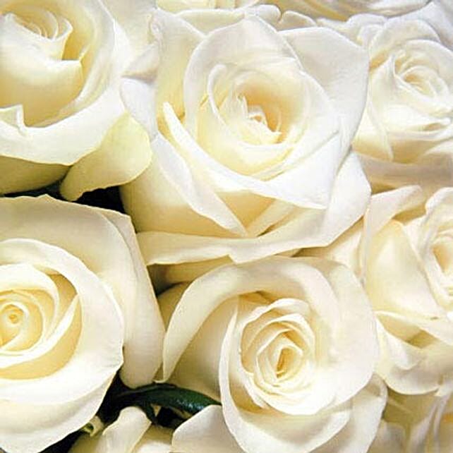 100 Long Stem White Roses usa | Gift 100 Long Stem White Roses- FNP