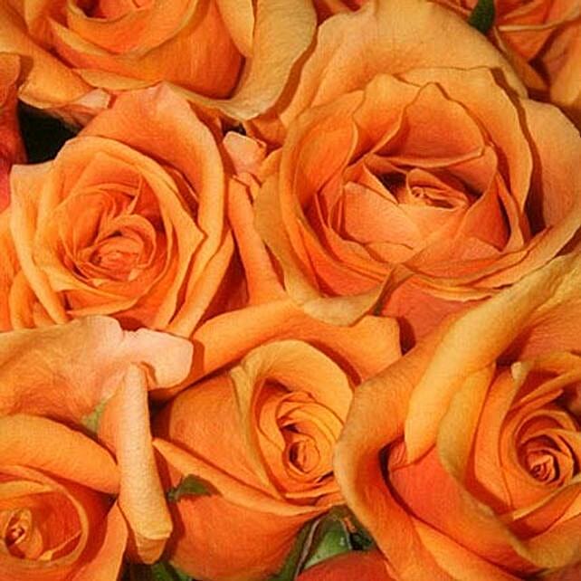 50 Long Stem Orange Roses usa | Gift 50 Long Stem Orange Roses- FNP