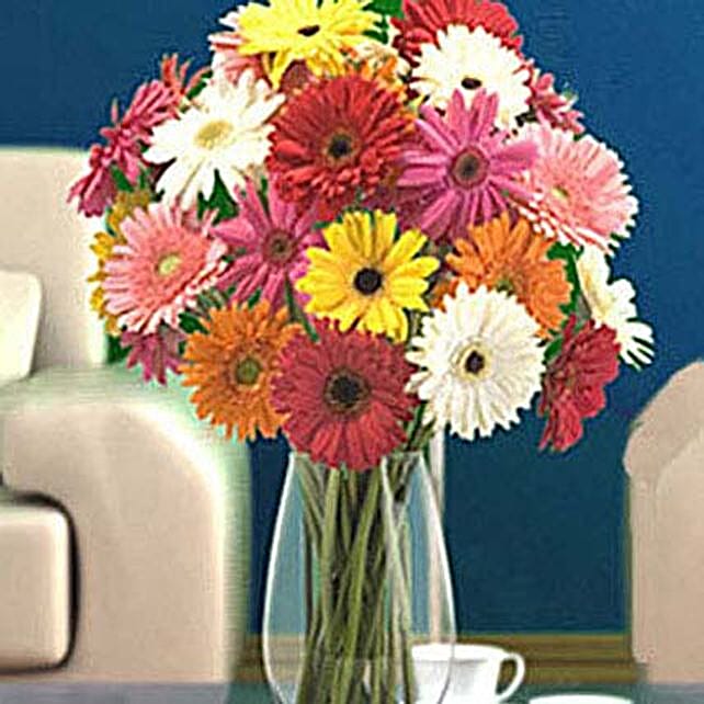 70 Assorted Gerber Daisies usa | Gift 70 Assorted Gerber Daisies- FNP